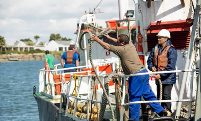 Oceana benefiting from higher canned fish sales and good catches in US ...