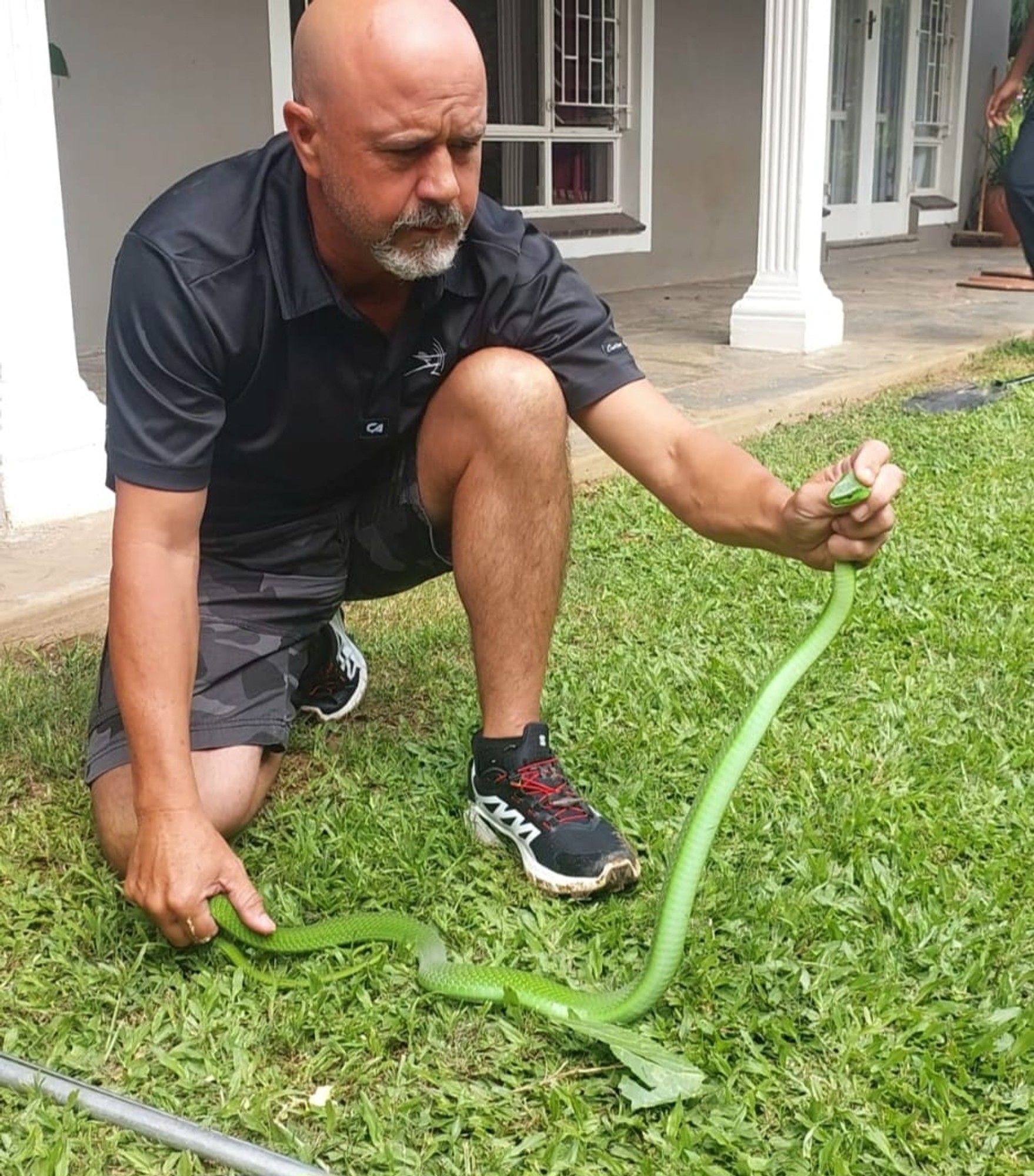 Snake alert issued as season begins