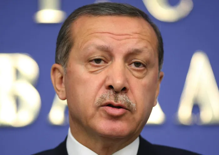 Erdogan deputy calls for presidential system