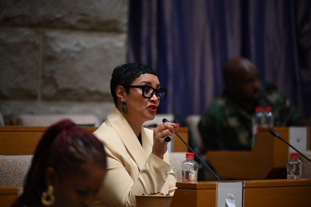 MPs express frustration over Minister Mchunu's vague responses in Ad Hoc Committee