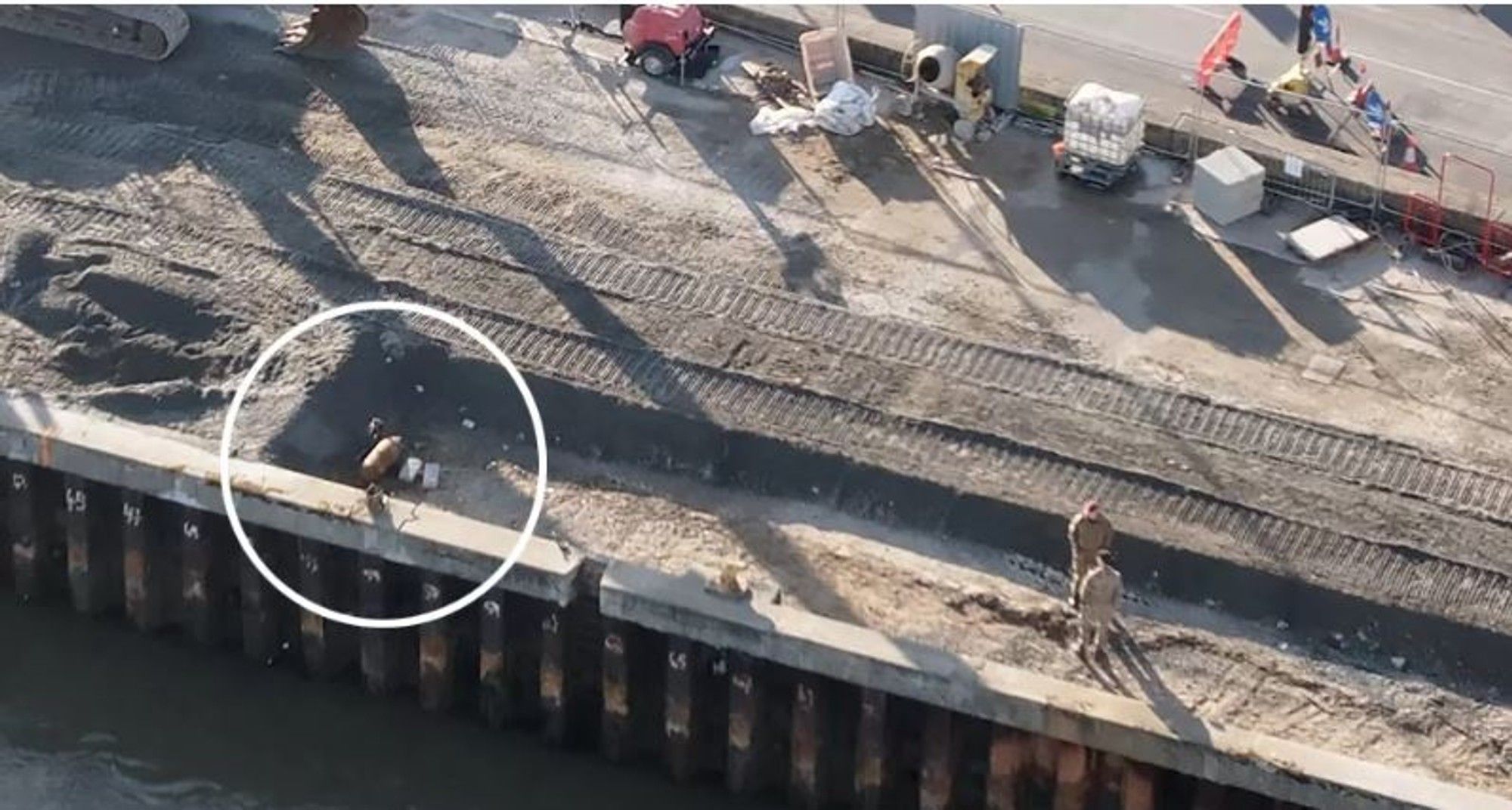 On this day in history, February 10