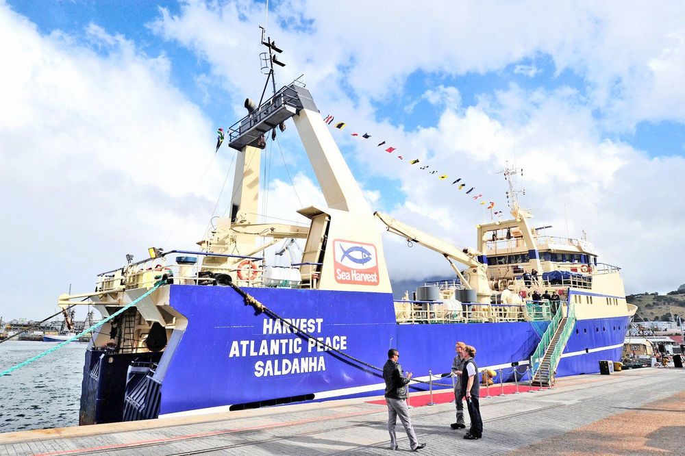 Sea Harvest expects lower earnings