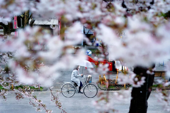 Japan will not yet declare state of emergency over Covid-19