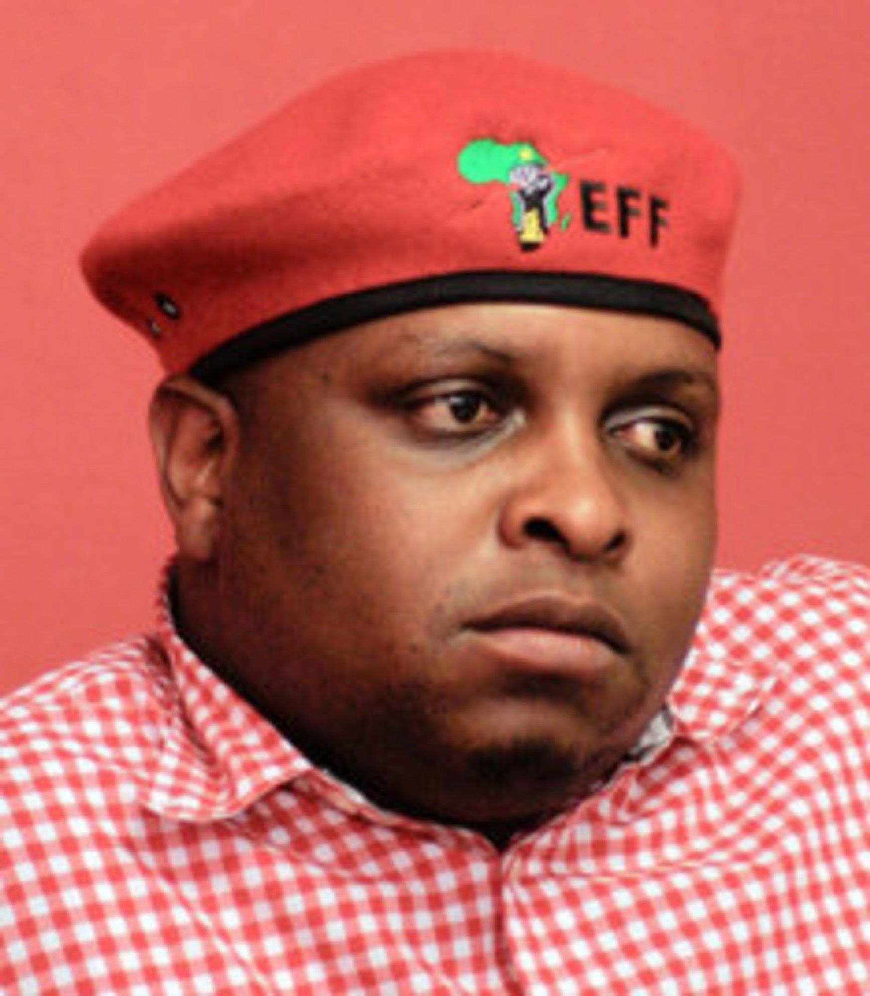 Independent candidates in KZN tell of ANC cold shoulder