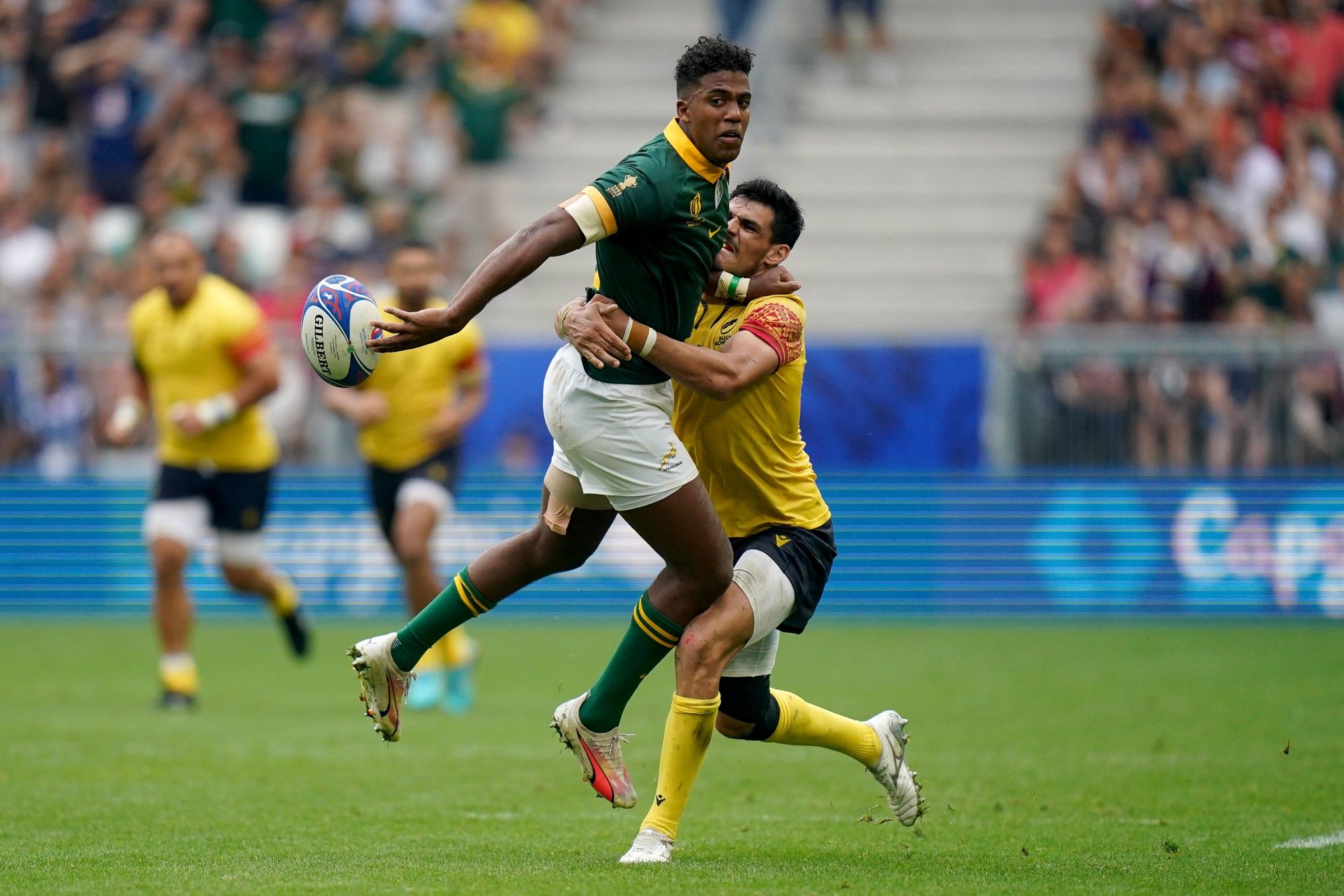 Best in the West: Kaapse ysters rack up klomp accolades at SA Rugby ...