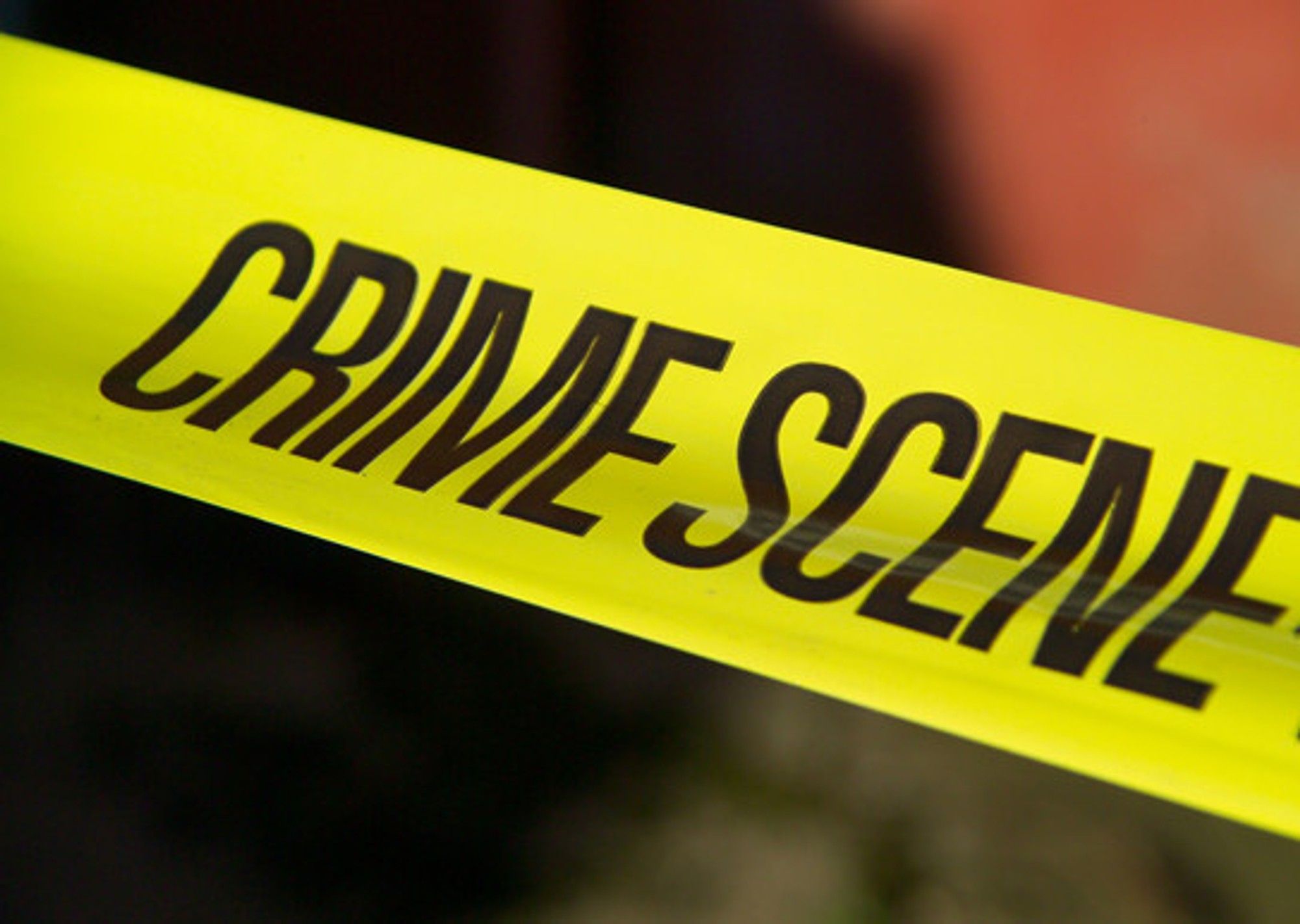 Brazen house robbers ‘not scared of anyone’