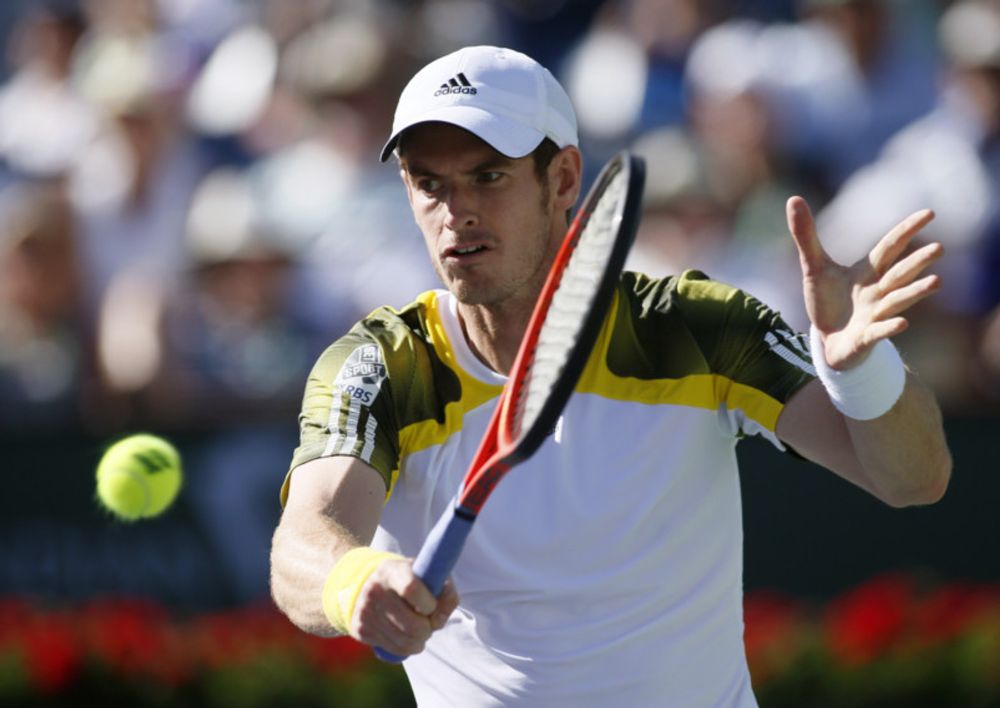 Murray has Tomic in his sights