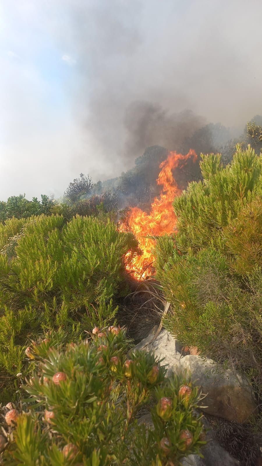 Boyes Drive fire contained, WSAR rescuers save stranded teenager on ...