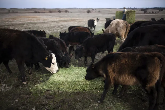 Organics battle to break into meat