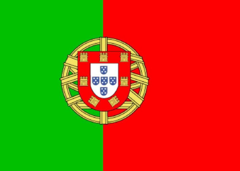 Portugal pays higher rate to sell debt