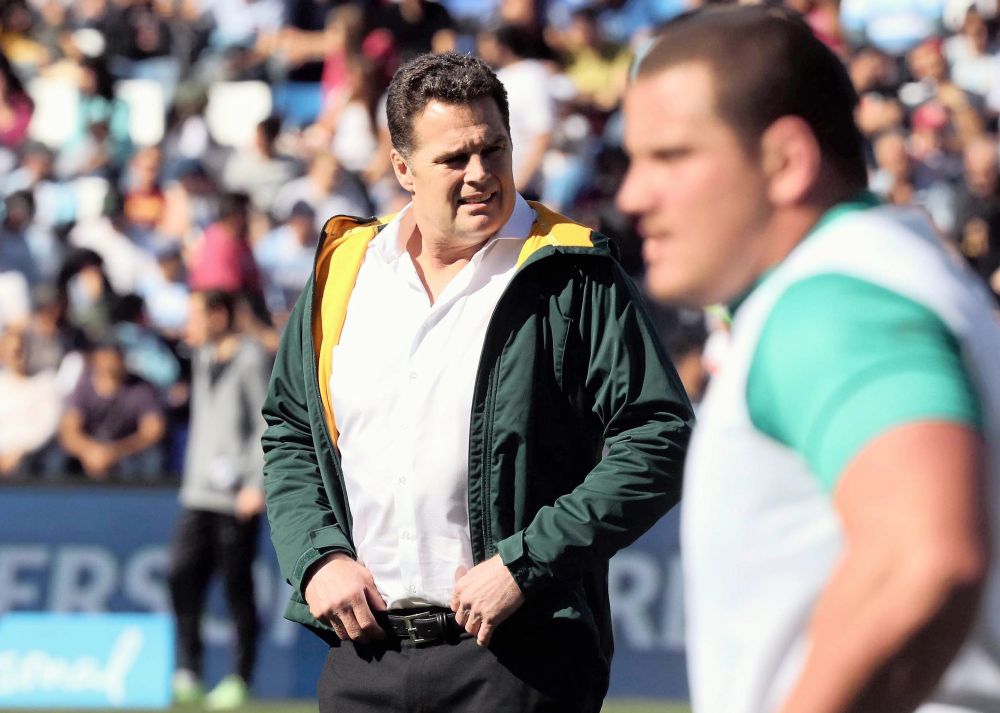 Rassie Erasmus says job on the line against All Blacks