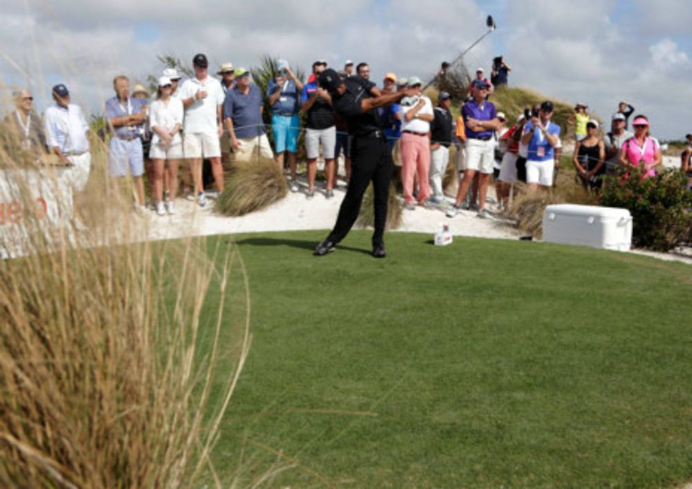 Woods may take time to settle - Poulter