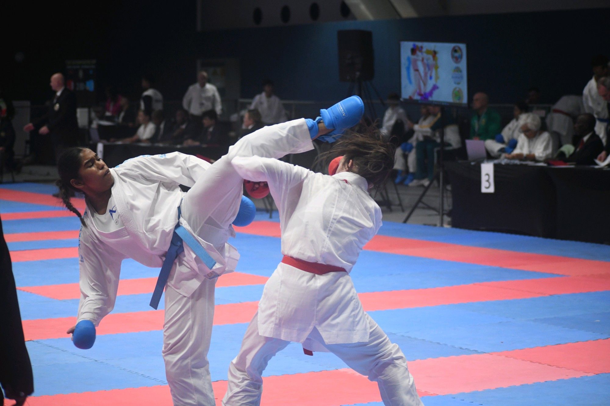 Teenager athlete draws lessons from karate and wins gold at ...