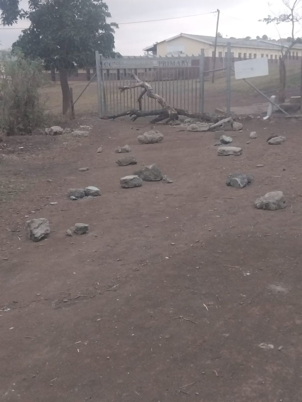 Uphazamise ukufunda umbhikisho womphakathi