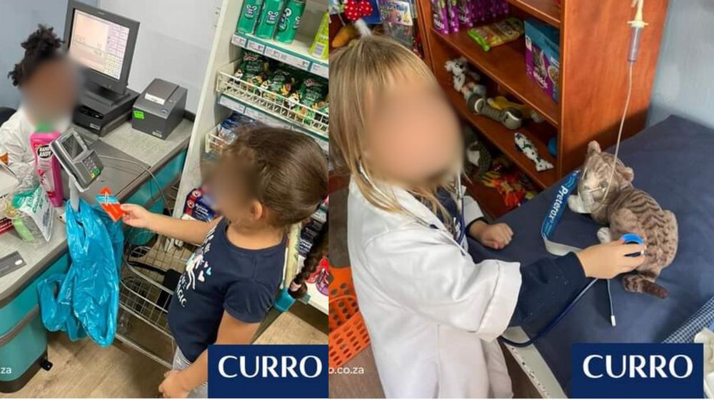 Gauteng Education Department clears Curro Holdings after investigation ...
