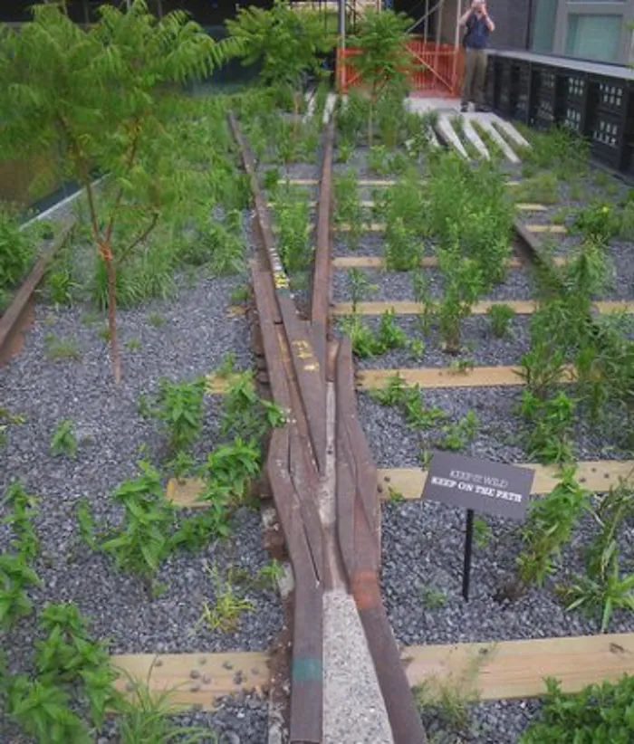 Big Apple welcomes green patch