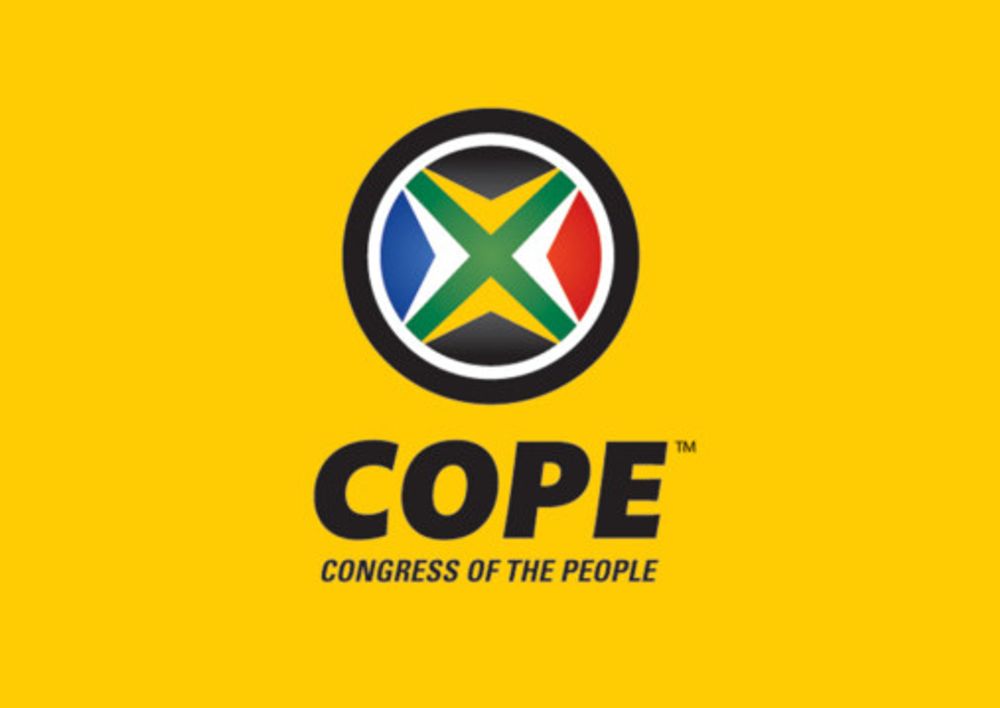 Cope treasurer relieved of duties