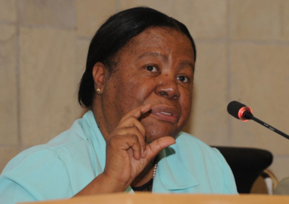 Pandor: Not enough SA engineers
