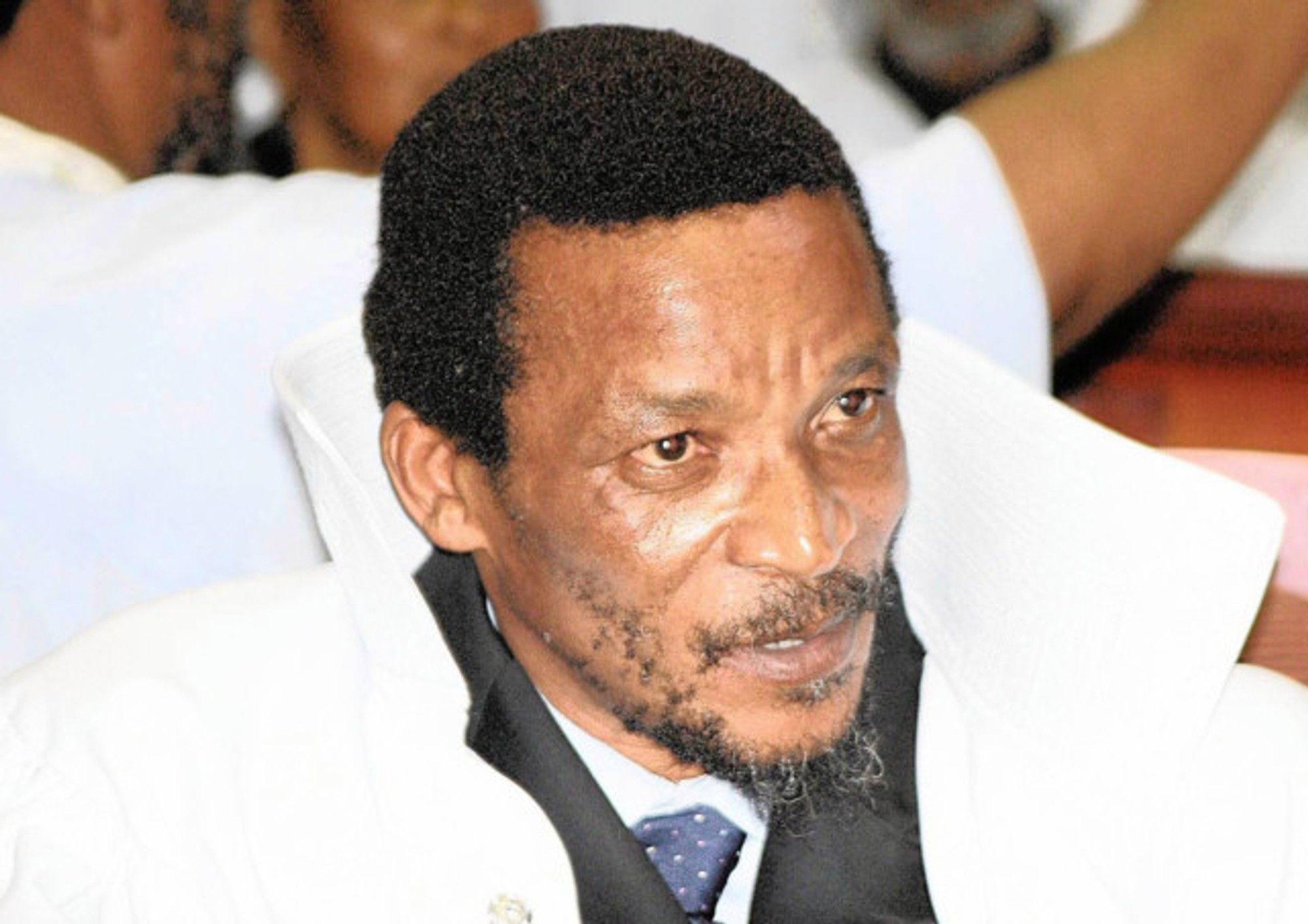 ANC in KZN gives thumbs up for Shembe statue erection