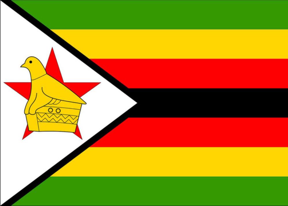 Probe Zim torture claims: High Court