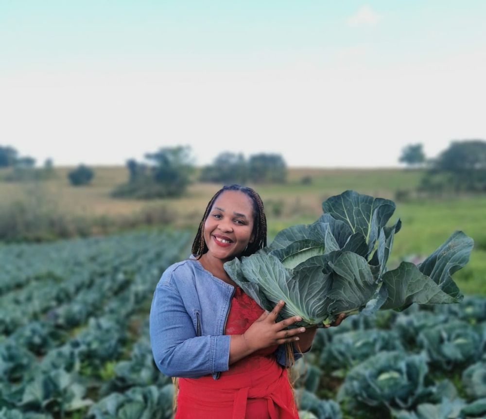 Crucial tips for young South African farmers