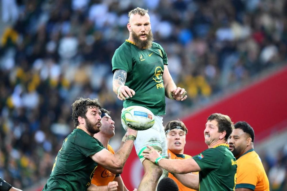 Springbok captain Kolisi: Beating Ireland will be tough if we don't ...