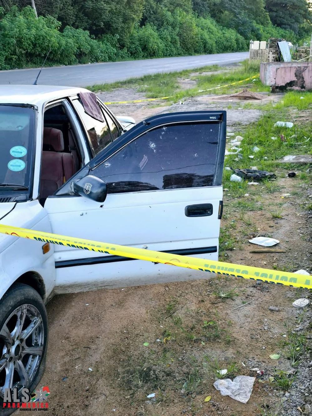 Father, son shot dead on R603 near Adam's Mission in KZN after car ...