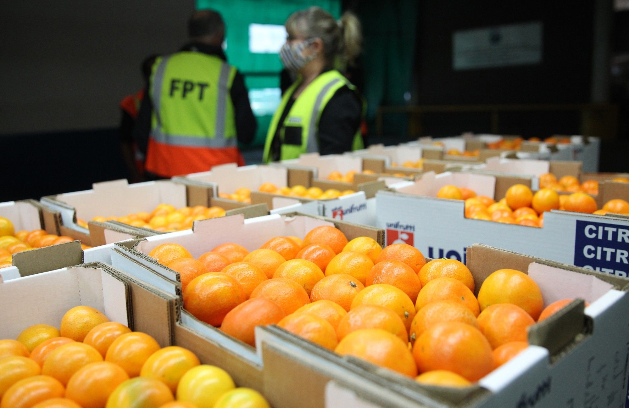 Citrus growers decry new cold storage plan