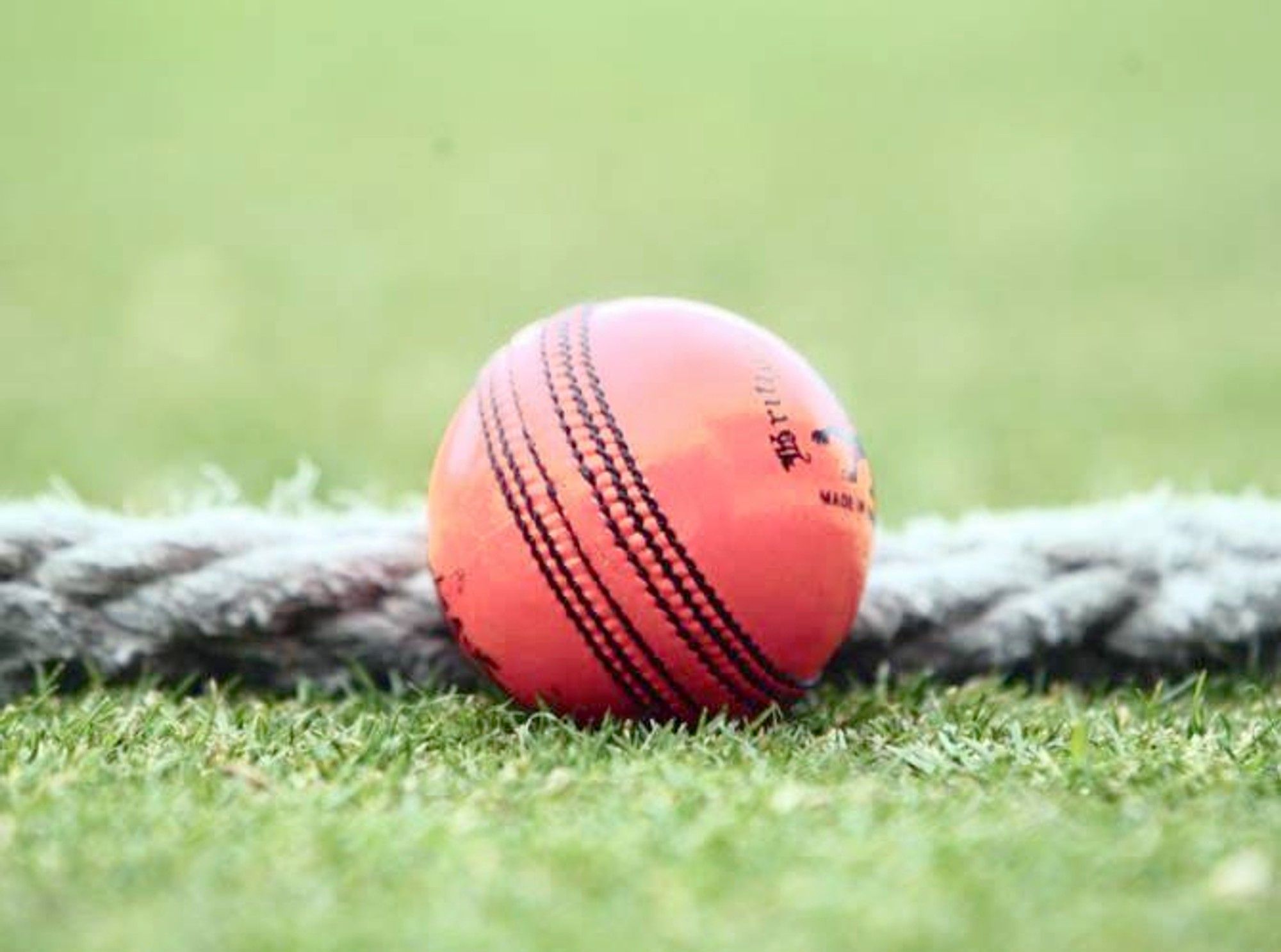 Former SA bowler Ngam appointed as Border coach
