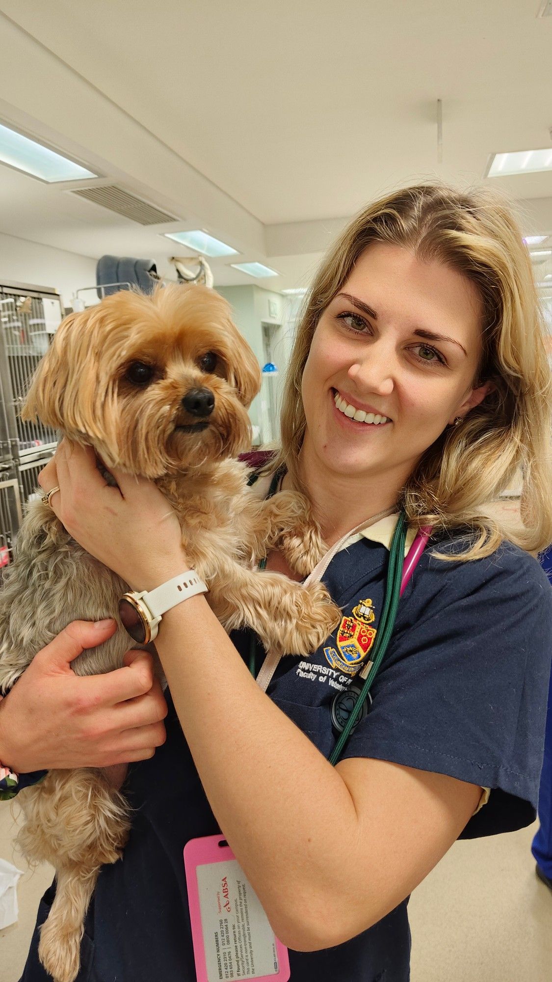 Groundbreaking surgery for Mia the Yorkshire Terrier