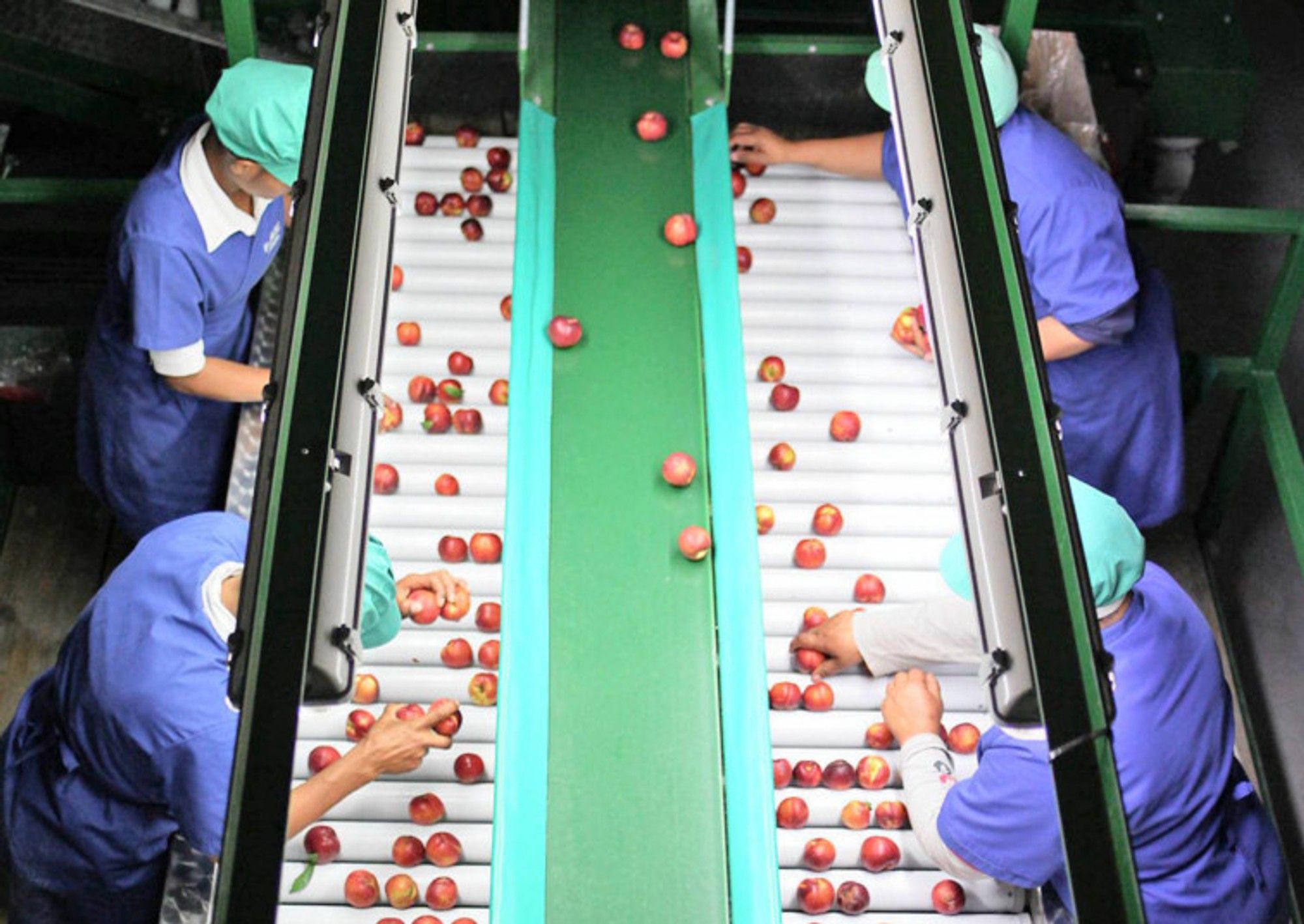 Agri SA seeks collective land solution