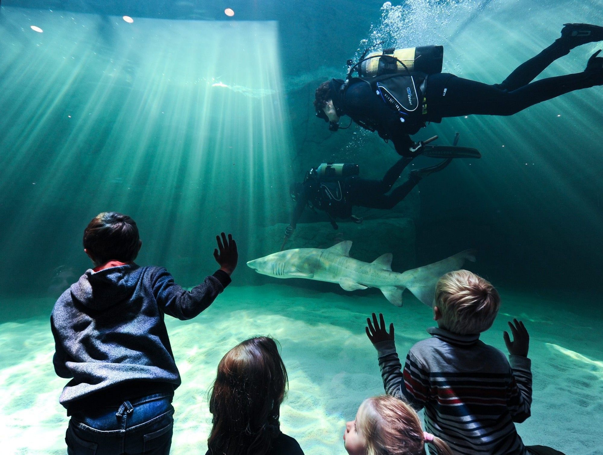 5 of the best wildlife encounters for kids