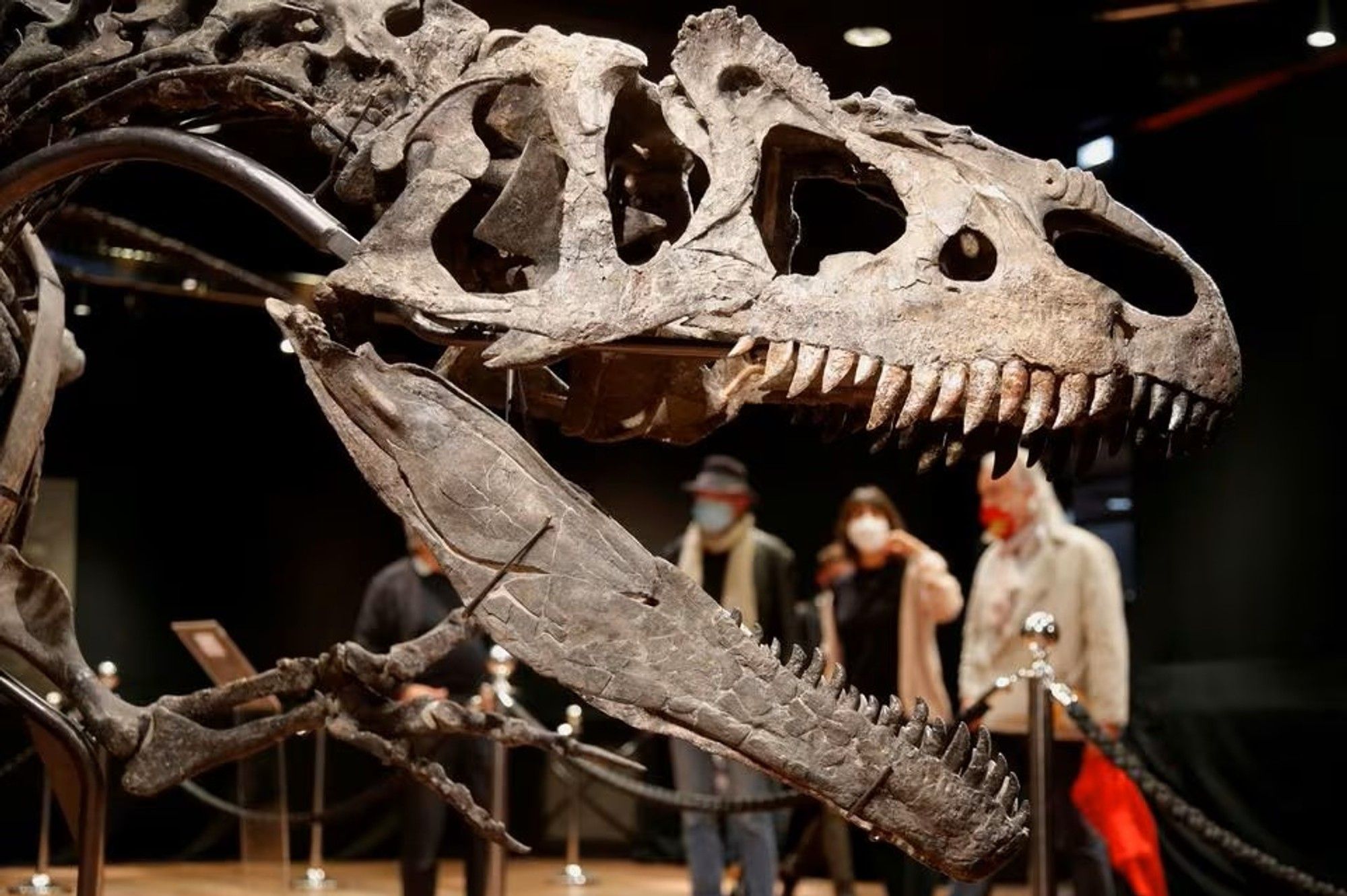 Bone bite marks reveal dinosaur predator-prey dynamics