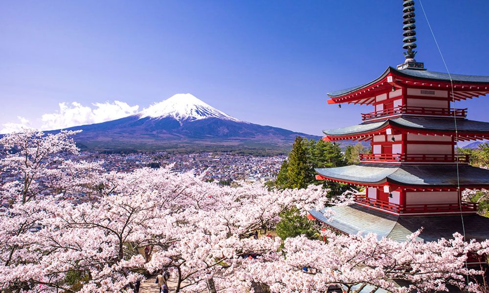 Japan eyes certification for region-based guide interpreters for ...