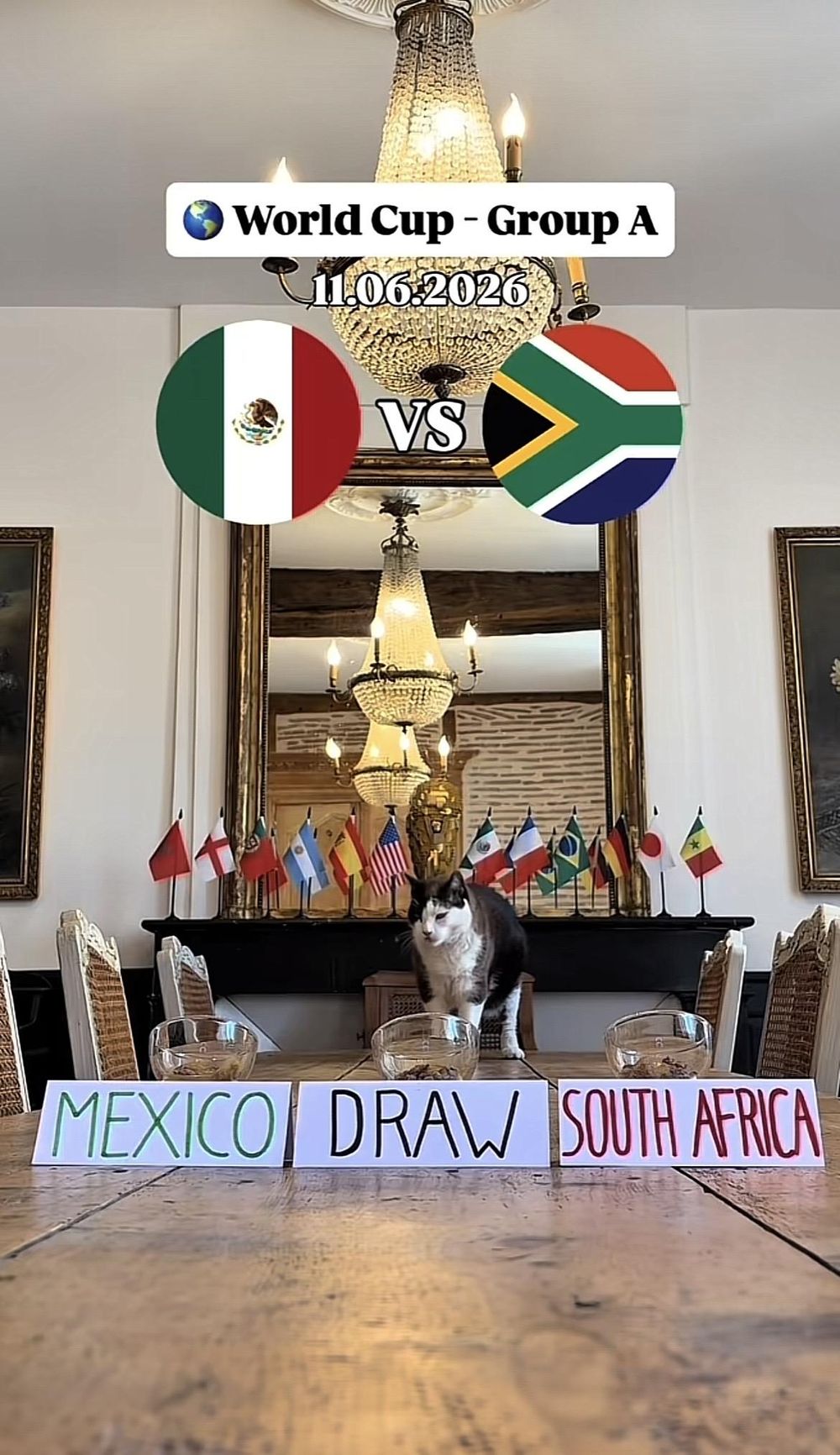 Viral cat predicts Mexico vs Bafana Bafana World Cup opener winner