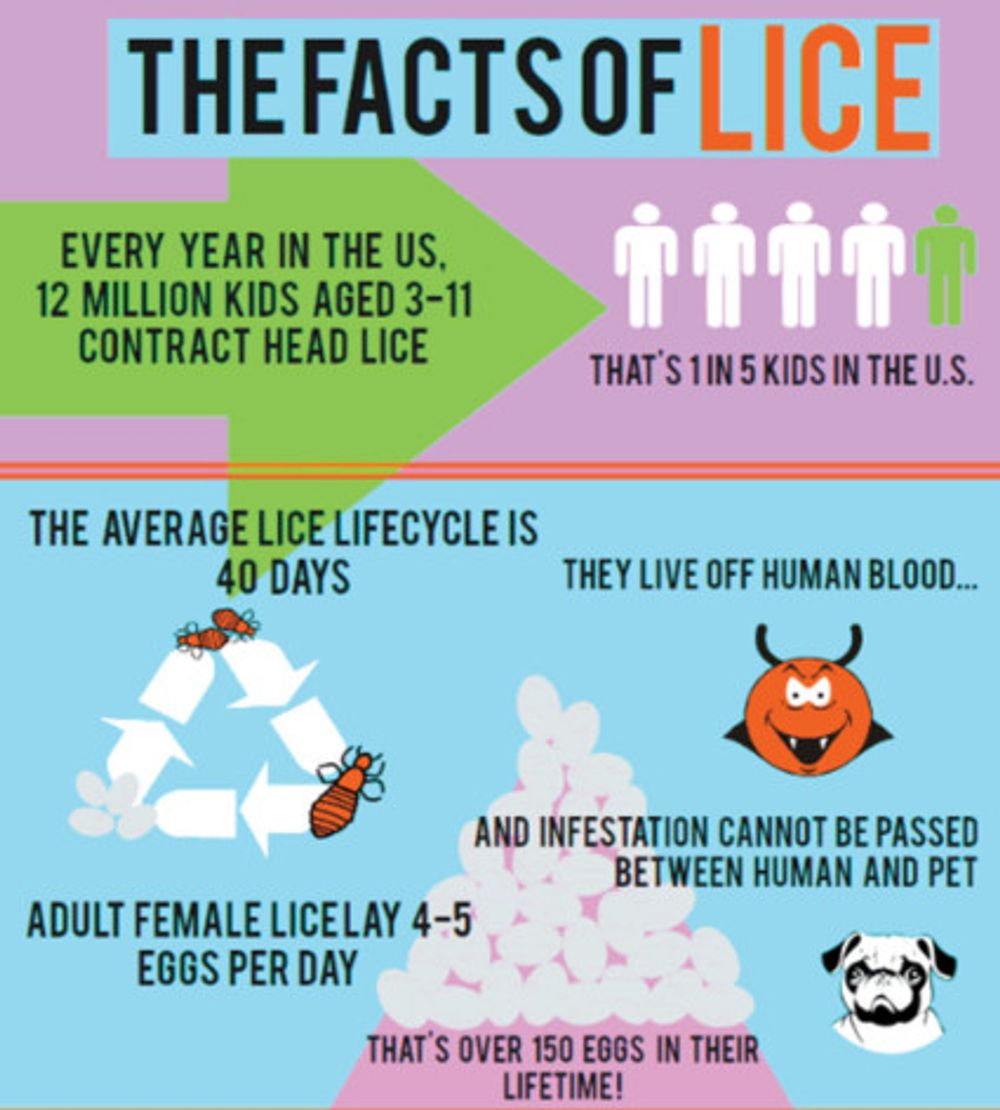 How to combat lice