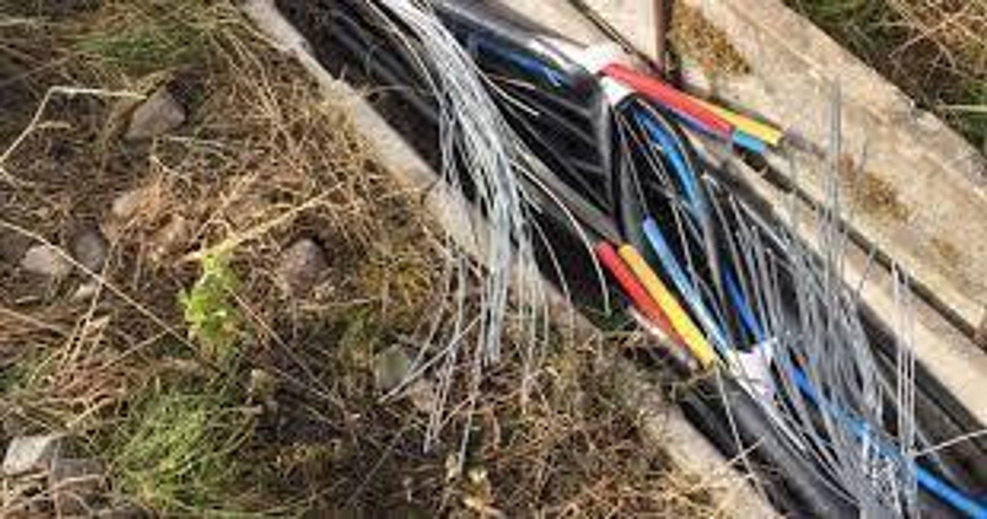 Reward offered as cable theft surges