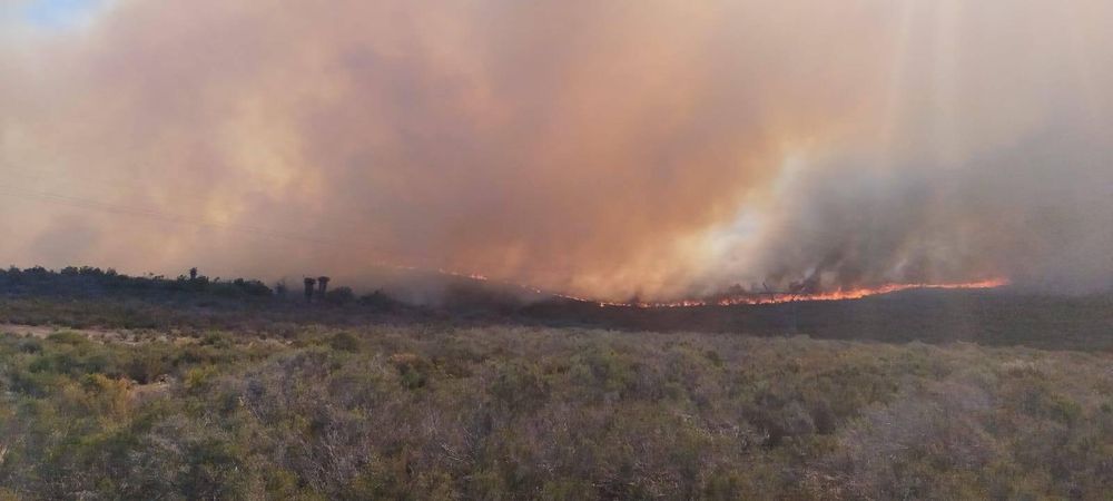 Firefighters on high alert as wildfires threaten Cape Town and the ...