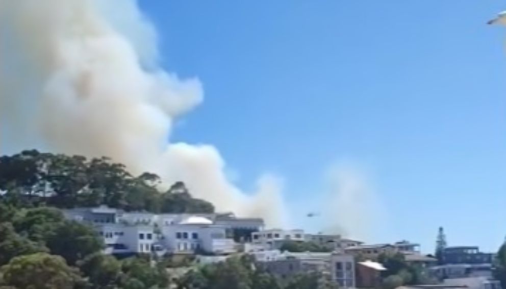Vegetation fire contained on Signal Hill: What you need to know