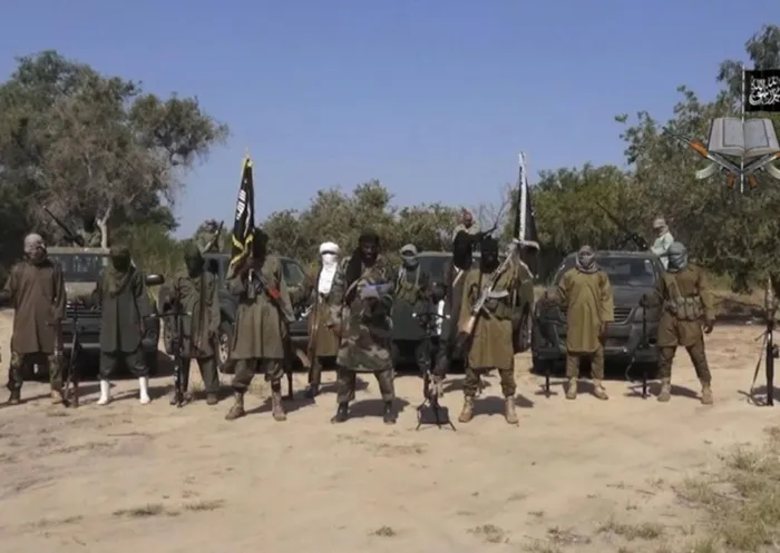 Boko Haram attacks Chadian village