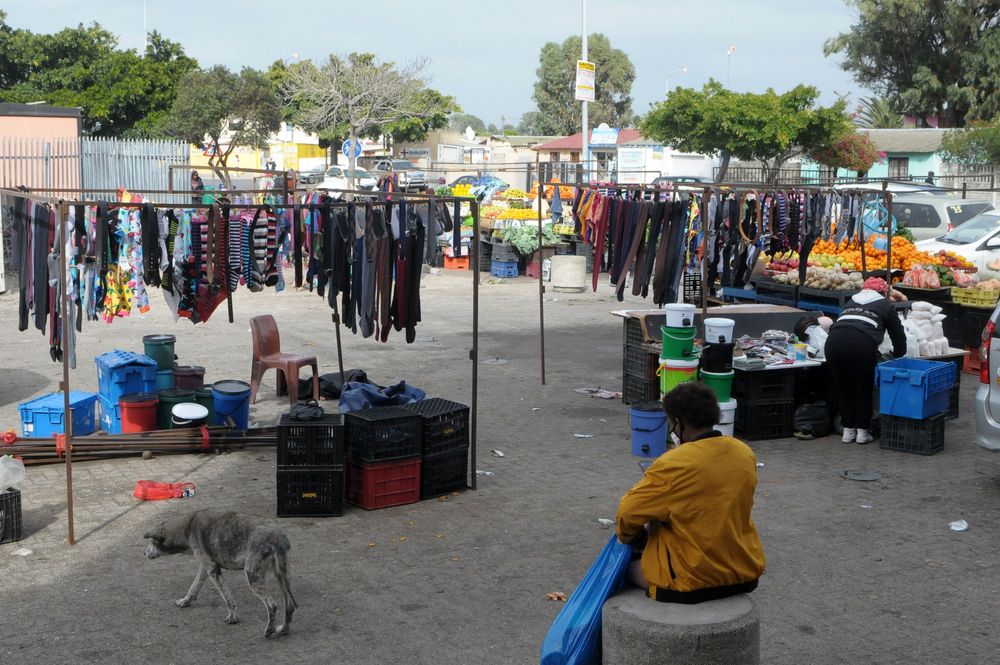 Western Cape advised to look to Gauteng for tips on a successful ...