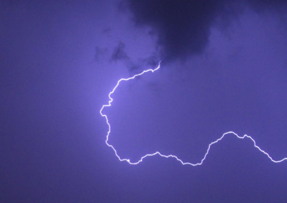 Lightning kills 29 cattle