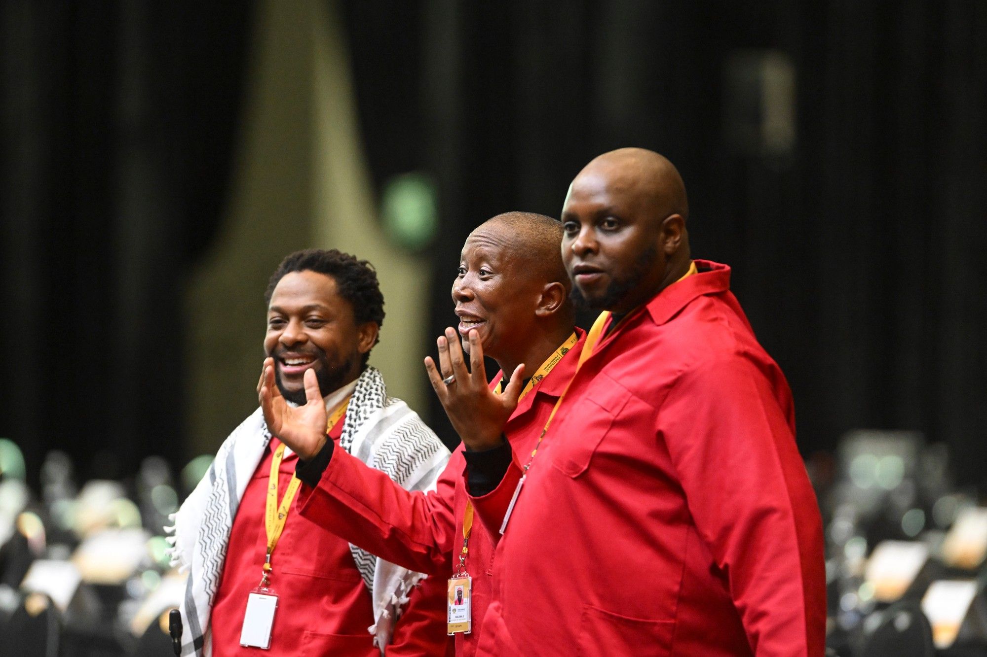 Political Analysts Divided on Impact of Ndlozi's EFF Parliament Exit