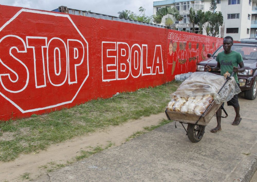 ‘Epidemics require rational approach’