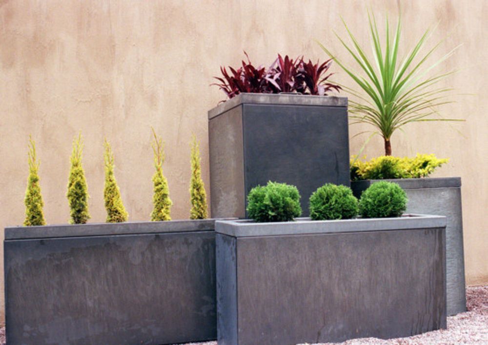 How about a plant that can SMS you?