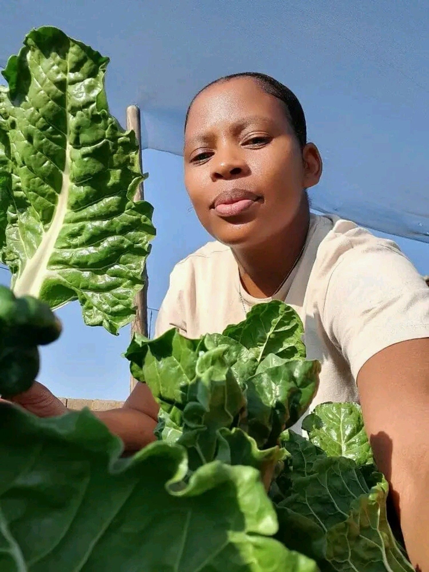 ‘Ixesha ngundoqo, qalisa mfama’