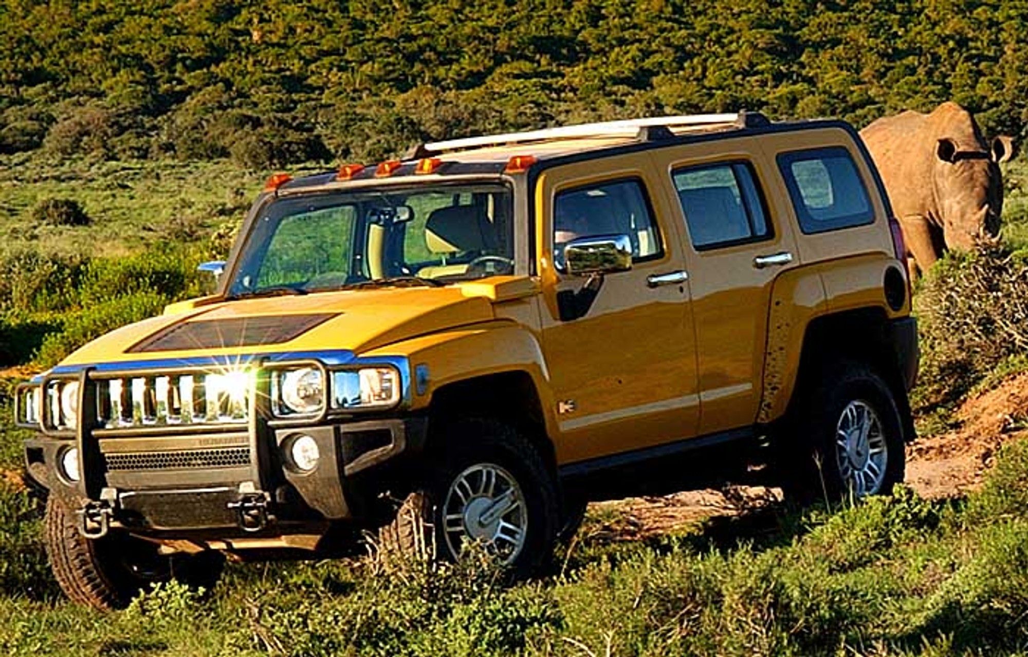 Hell has no fury like a woman Hummer driver.