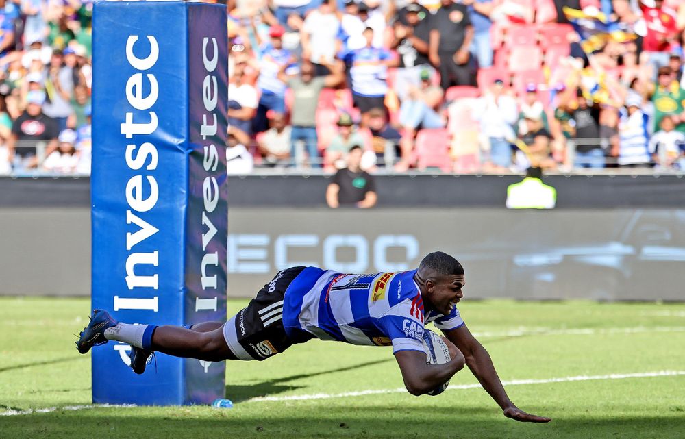 Stormers shine in Champions Cup win over La Rochelle, acknowledge areas ...