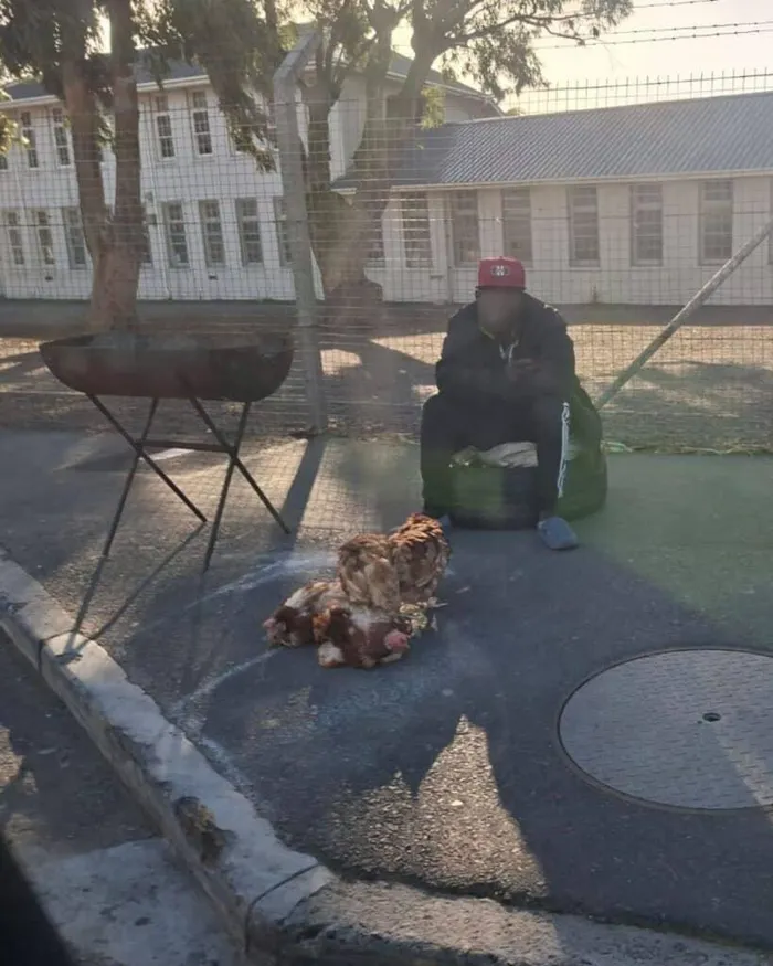 SPCA rescues four chickens found tethered outside primary school during ...