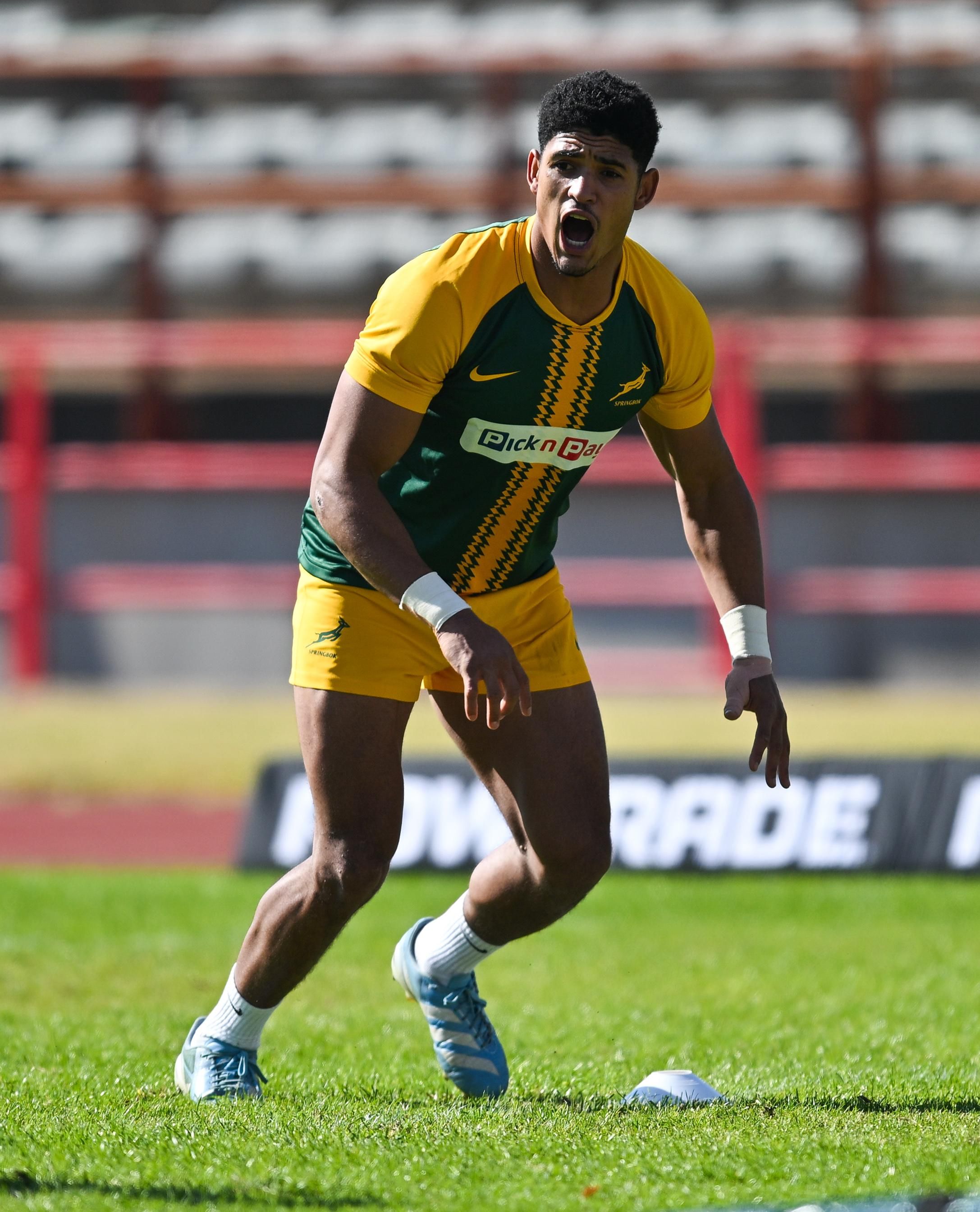 Rassie Erasmus: Springboks working hard with Sacha Feinberg-Mngomezulu ...